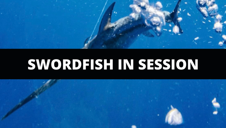 Swordfish In Session | The Crew Platform