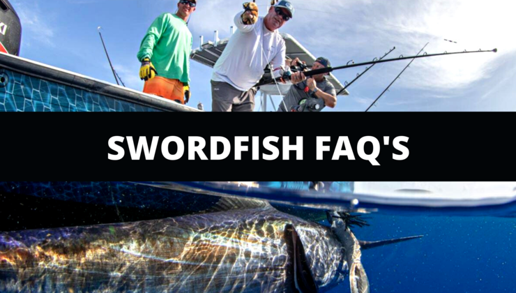 Swordfish FAQ's | The Crew Platform