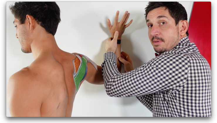 Elbow Glides