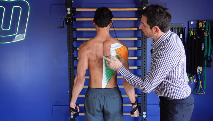 Straight Arm Extension