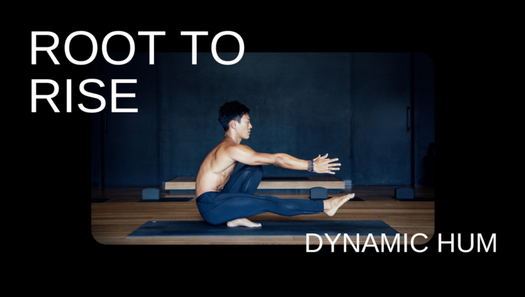 Root to Rise Dynamic with William