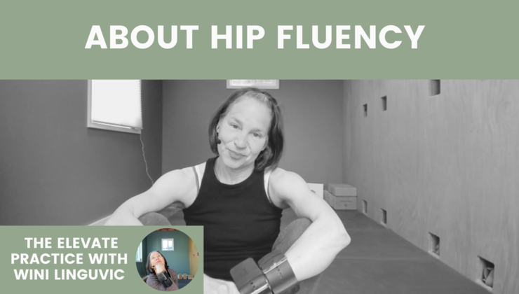 About HIP FLUENCY Foundation | The Elevate Practice