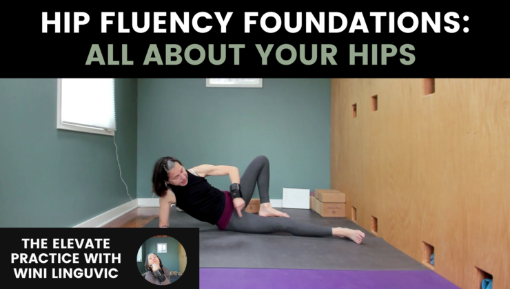 Hip Fluency Collection