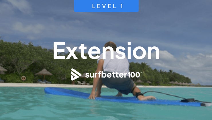 1.9 Extension | Surfbetter
