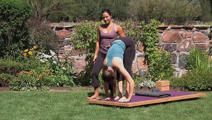 Online Class: Online Yoga Flow Class - YogaToday.com