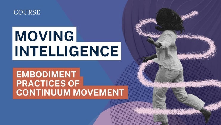 Moving Intelligence: Embodiment Practices of Continuum Movement