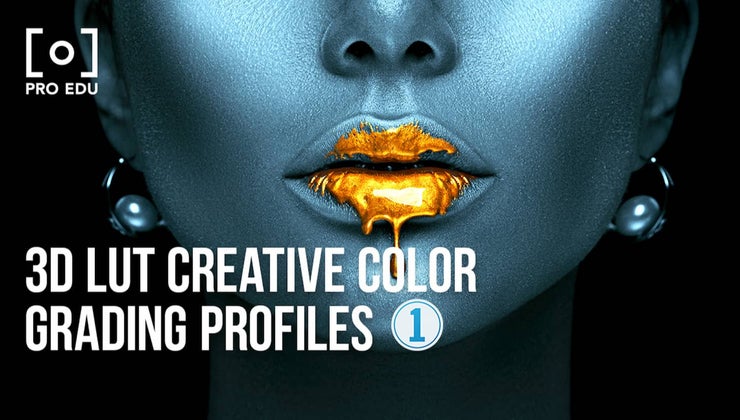 3D LUTS For Capture One | Learn to Use LUTs in Capture One