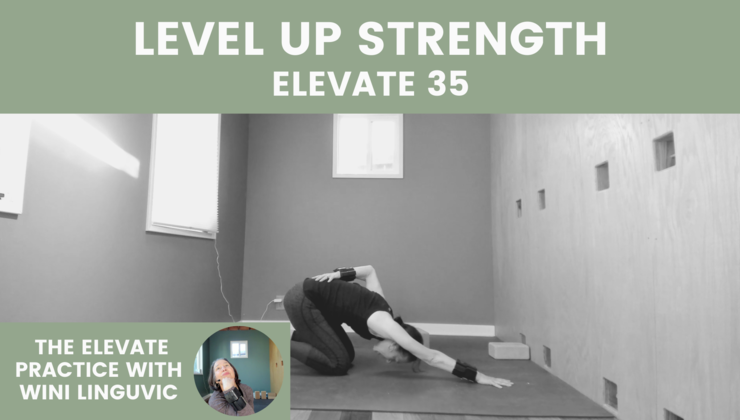 Level Up Strength | The Elevate Practice
