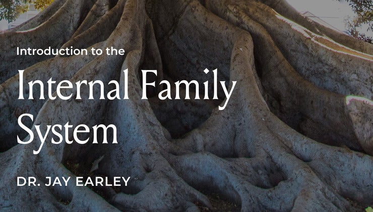 Introduction to Internal Family Systems