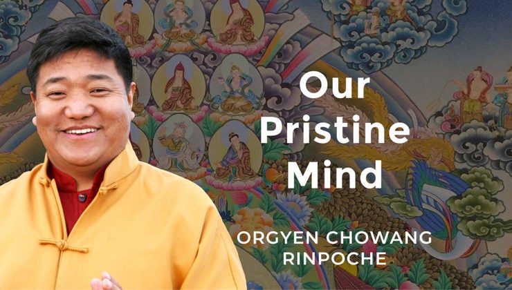 Our Pristine Mind