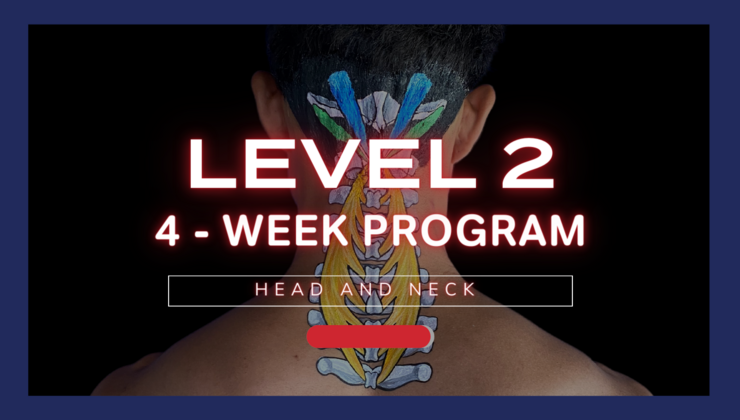 Head & Neck Strength Program Level 2
