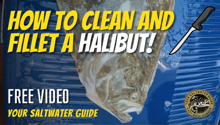 How To Clean and Fillet a Halibut | Your Saltwater Guide