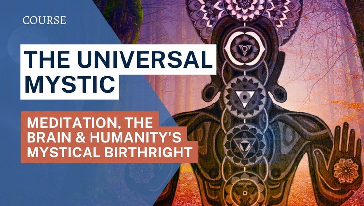 The Universal Mystic: Meditation, the Brain and Humanity's Mystical ...