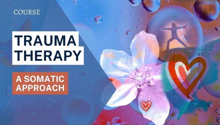 Trauma Therapy: A Somatic Approach