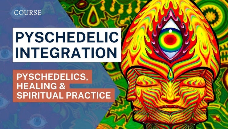 Psychedelic Integration: Psychedelics, Healing, and Spiritu