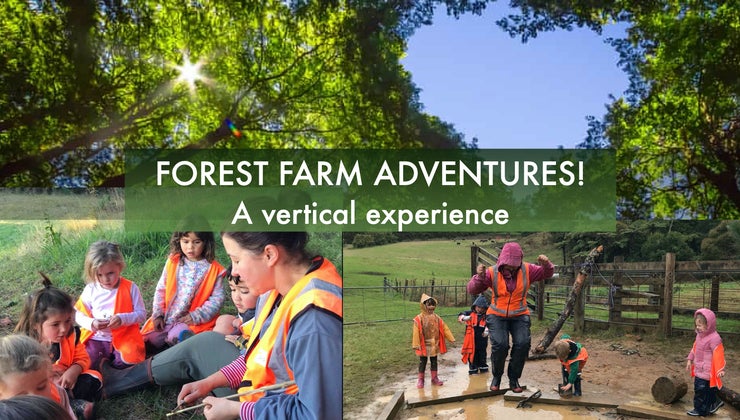 FOREST FARM ADVENTURES: A VERTICAL EXPERIENCE | Educational Leadership ...