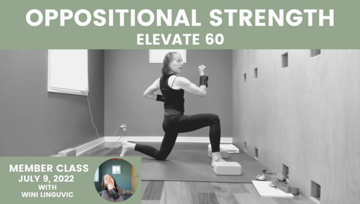 Oppositional Strength | The Elevate Practice