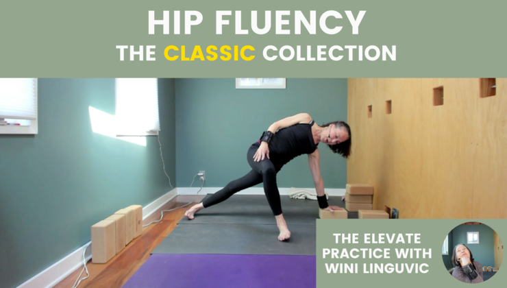 Hip Fluency: The Classics