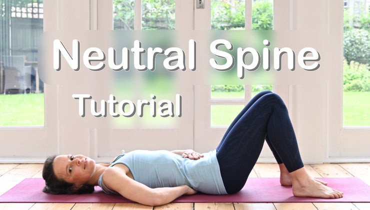 Tutorial - Neutral Spine #T2