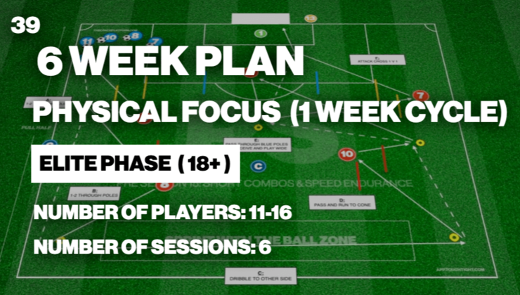 Pre Season Curriculum 39: 6 WEEK PLAN: AGE: 18+ | 1 SESSION