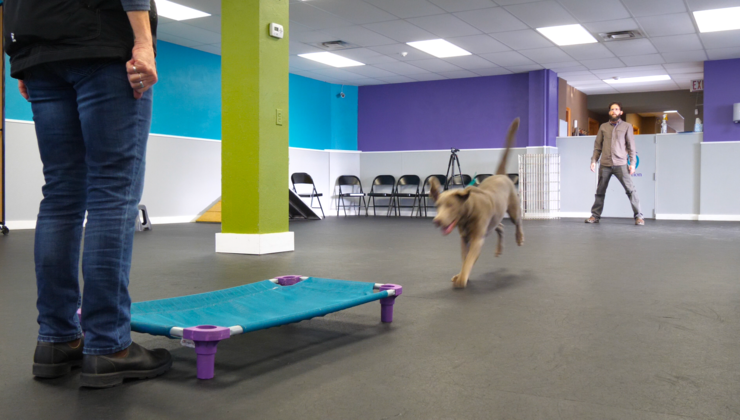 A Trick for Training Recalls