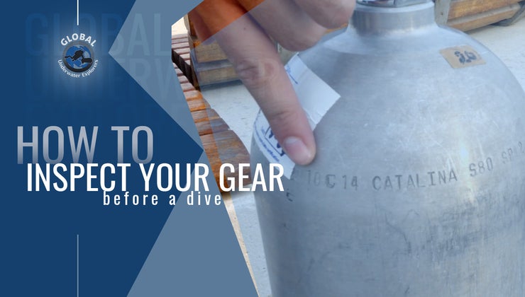 Gear Inspection Tips for Divers by GUE Instructor