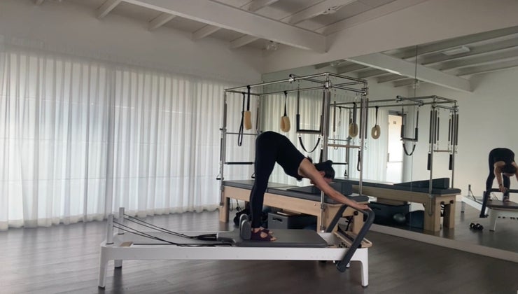 Quadruped Inspired with Marla • INT • August 31st, 2022