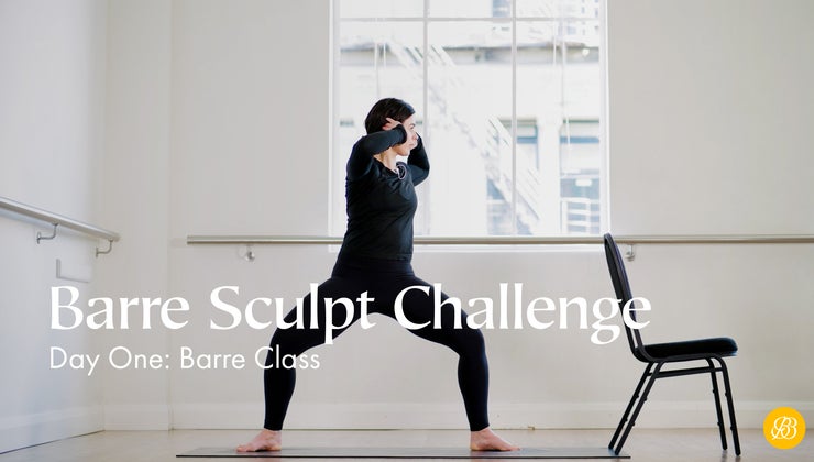 Barre Sculpt Challenge - Day 1 Barre Class | Barre Base Anywhere