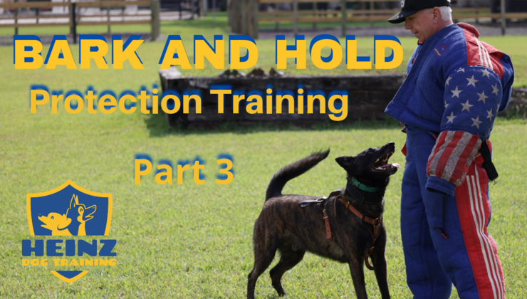 How to teach dog Bark and Hold Command - Protection training | Heinz ...