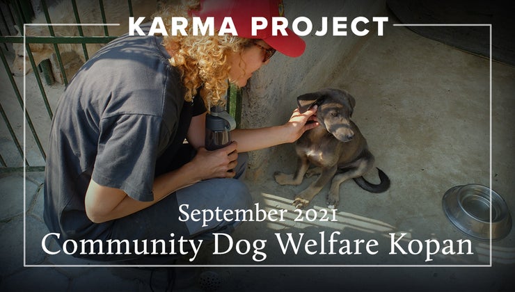 Karma Project Black screen