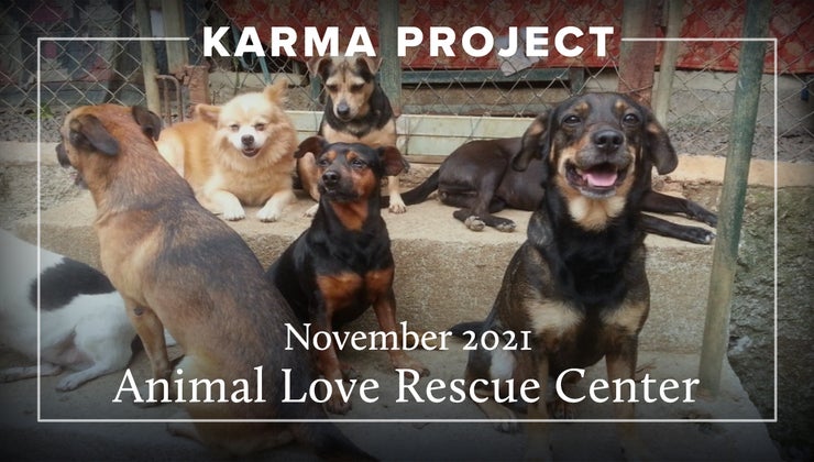 Karma Project | November 2021