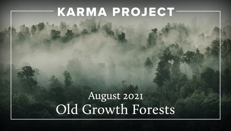 Karma Project | August 2021