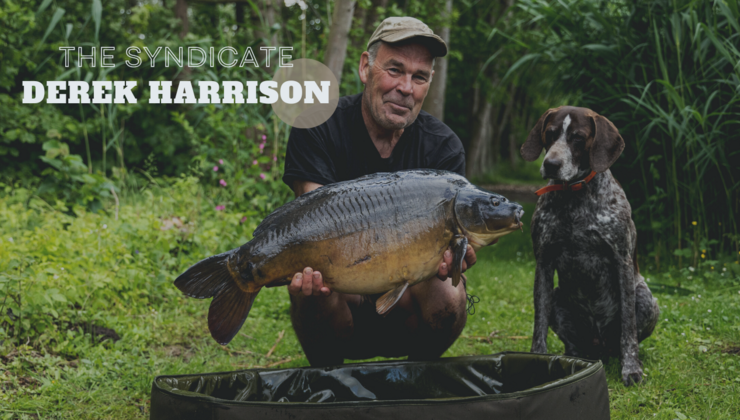 The Syndicate | Derek Harrison | Trailer | CarpFix
