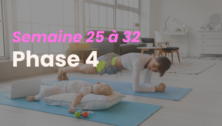 Phase 4 - Semaines 25 à 32