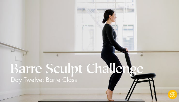 Barre Sculpt Challenge - Day 12 Barre Class | Barre Base Anywhere