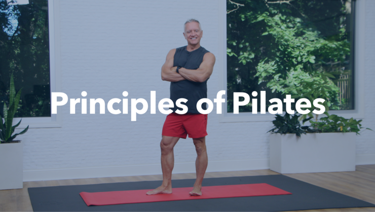 Principles of Pilates and Movement