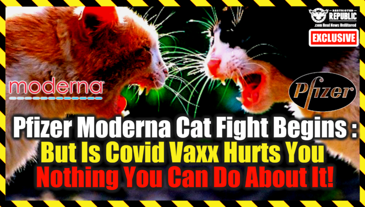 EXCLUSIVE! Pfizer Moderna Cat Fight Begins : But If Covid Vaxx Hurt You ...