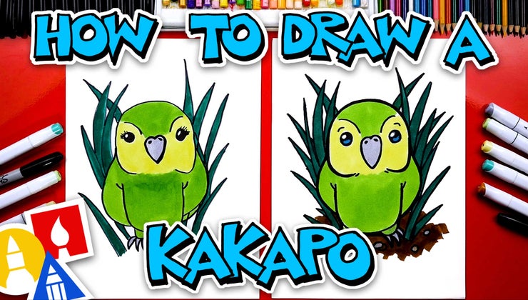 How To Draw A Kakapo Bird From New Zealand