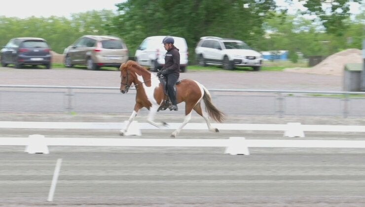 Lína frá Selfossi:Erlingur Erlingsson | Töltriding