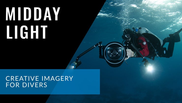 Master Midday Light Photography - Tips & Tricks