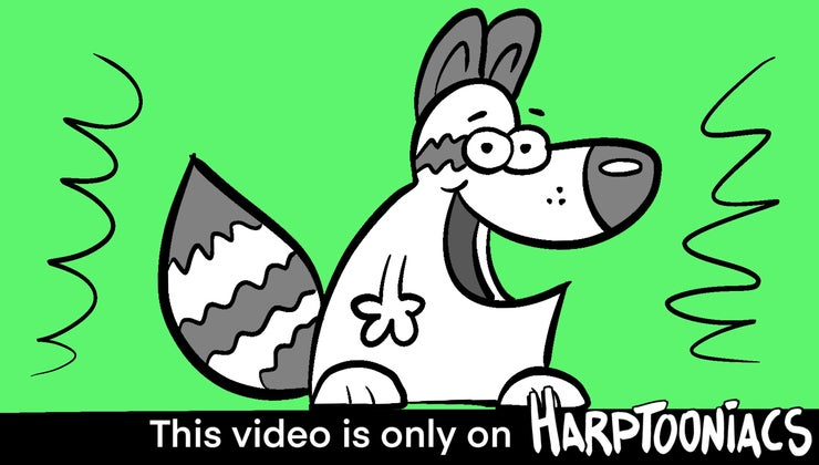 Steve Harpster shows how to draw a raccoon. | Harptooniacs