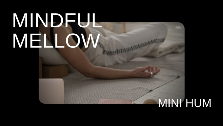 NEW! Mindful Mellow Mini with Mischa