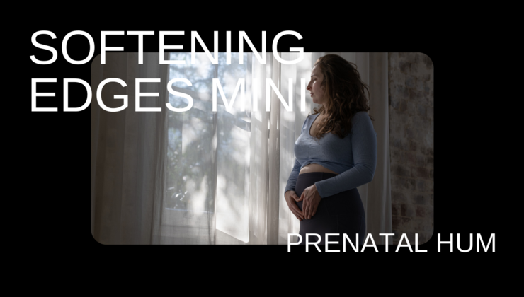 Softening Edges Prenatal Mini with Tara & Adriane