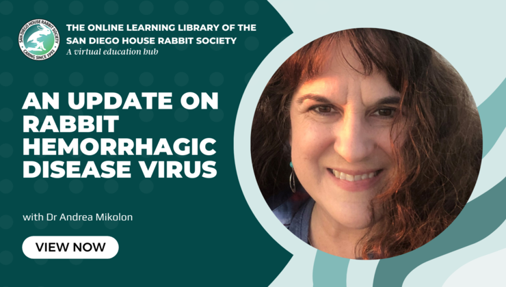 An Update on Rabbit Hemorrhagic Disease Virus | SDHRS