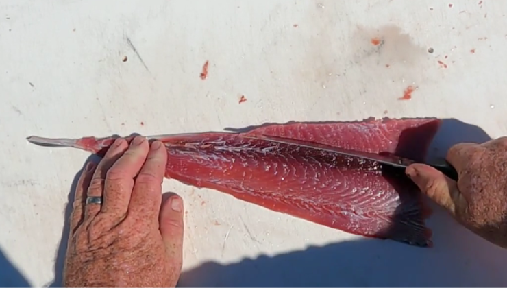 How to Cut Bonito Membranes and Sword Strips | The Crew Platform