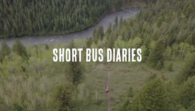 Short Bus Diaries