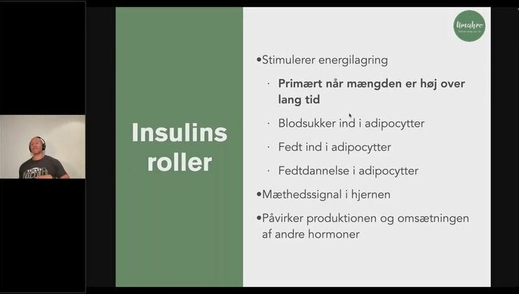 SPIS OG LEV DIG FRA TYPE II DIABETES OG INSULINRESISTENS • ONLINE ...