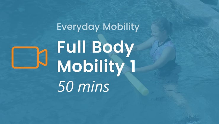 Full Body Mobility 1