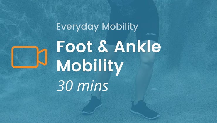 Ankle and Foot Mobility