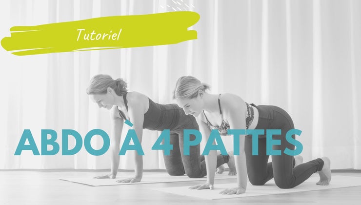 Prep Abdo à 4 pattes